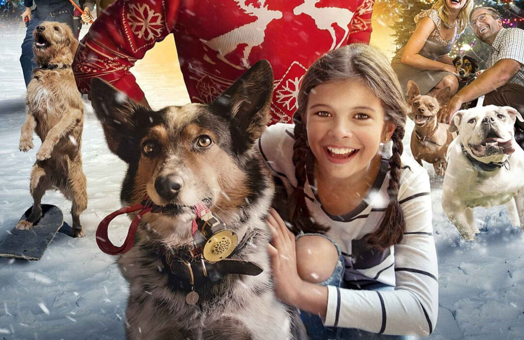 Фильмы для всей семьи: посмотрите на новогодние праздники